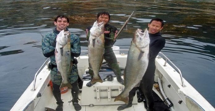 A beginner’s guide to Underwater Hunting | Hunting Magazine