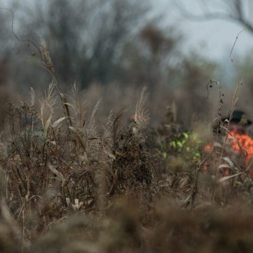 Hunting Day in Slovakia | Hunting Magazine