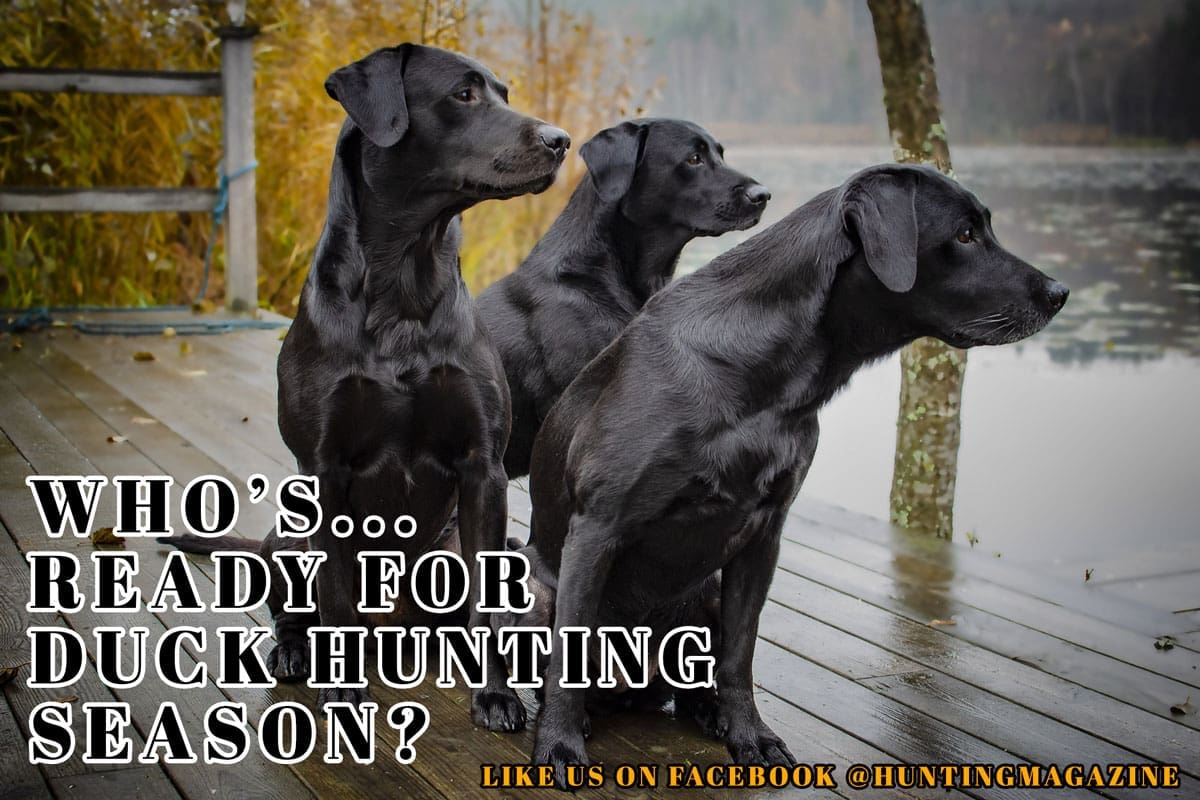 Hunting Meme: Who's Ready For Ducking Hunting Season? | Hunting Magazine
