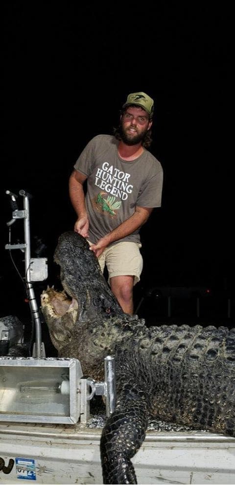 Photos of Massive South Carolina Gator Taken by Hunter in Santee Lake ...