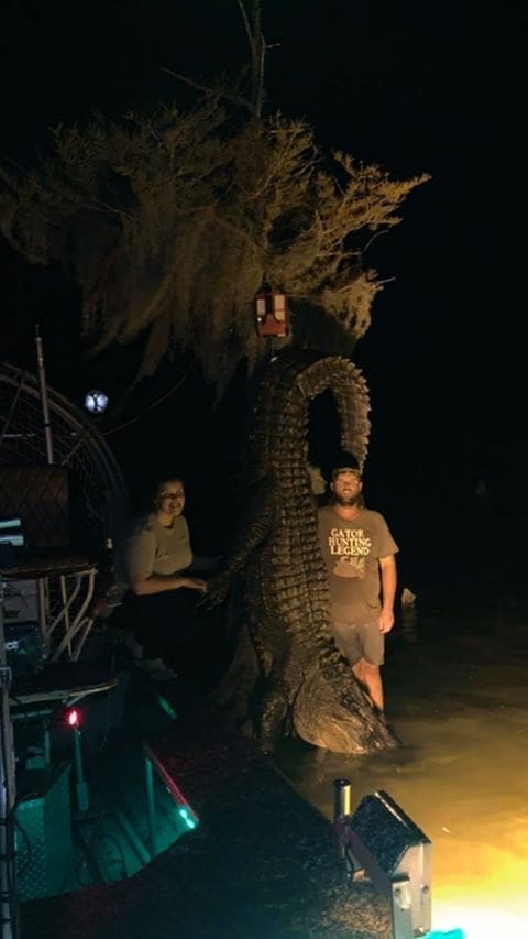 Photos of Massive South Carolina Gator Taken by Hunter in Santee Lake ...