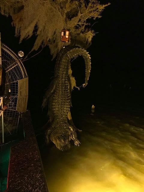 Photos of Massive South Carolina Gator Taken by Hunter in Santee Lake ...
