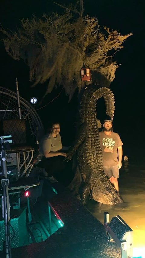 Photos of Massive South Carolina Gator Taken by Hunter in Santee Lake ...