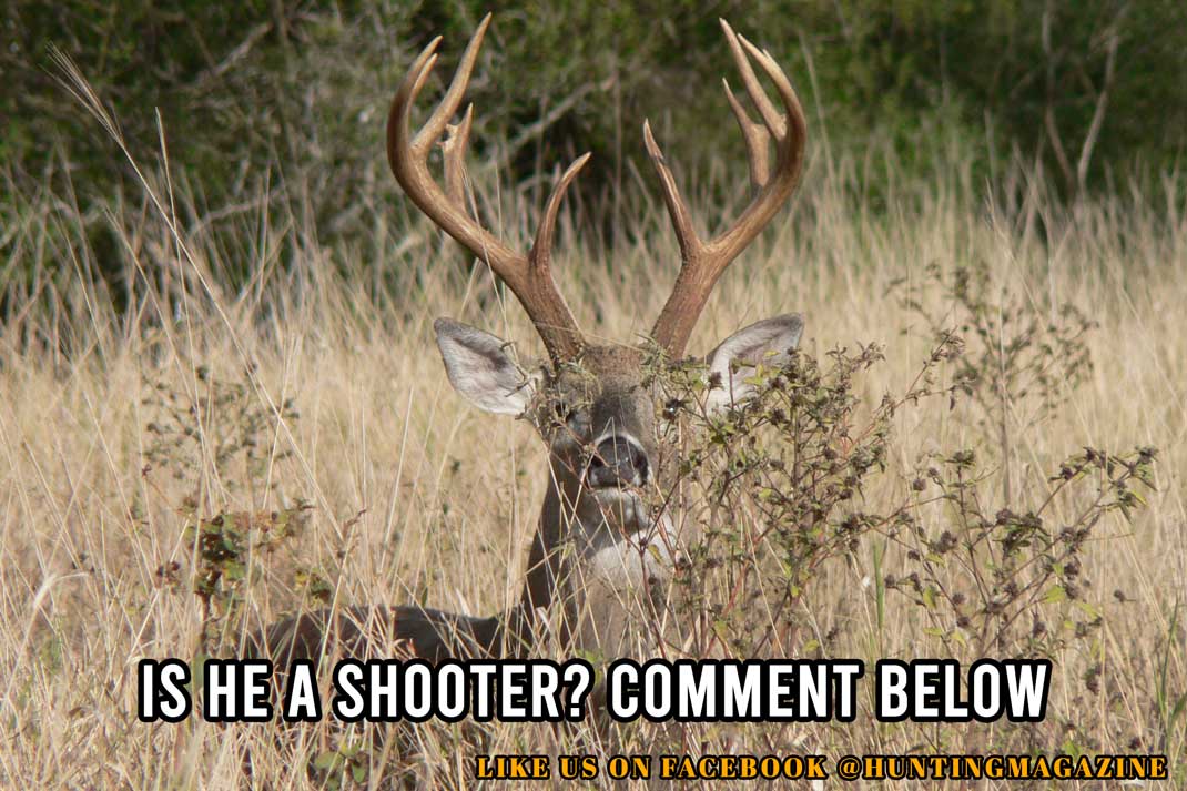 Hunting Meme: Is He a Shooter Buck? | Hunting Magazine
