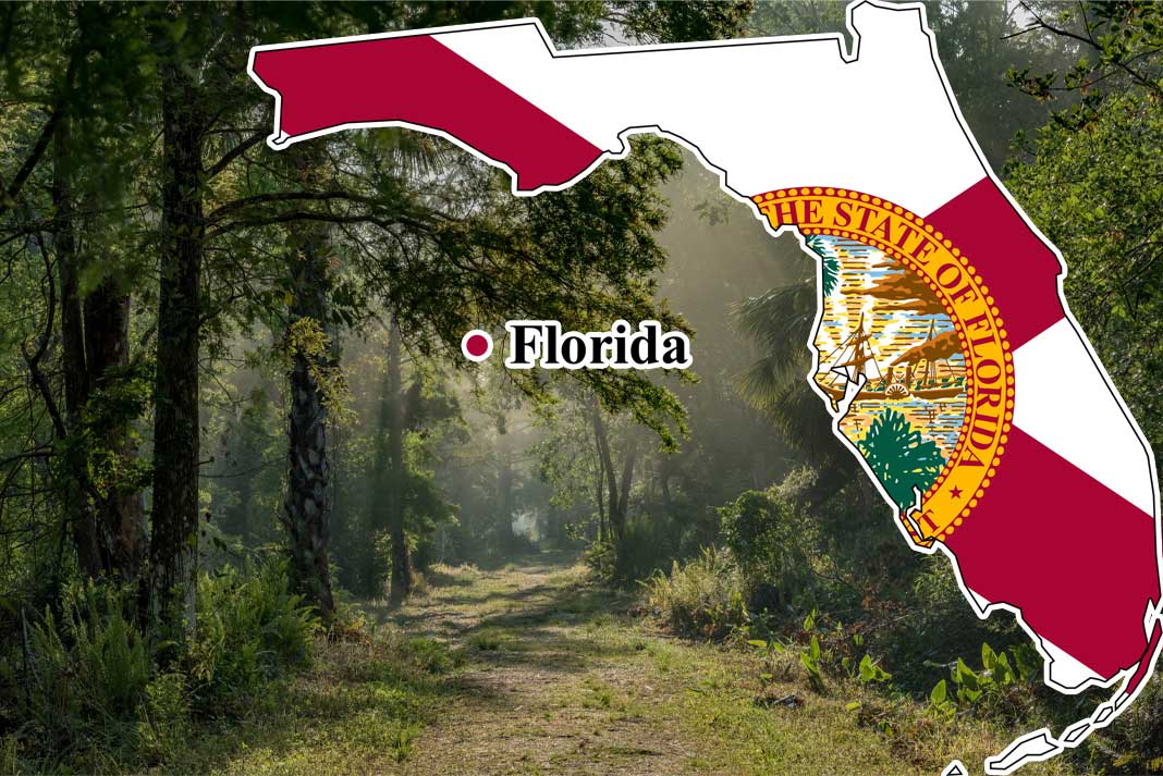 Understanding the Deer Hunting Season in Florida | Hunting Magazine